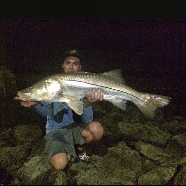 Reeling in South Florida : Snook Fishing in South Florida