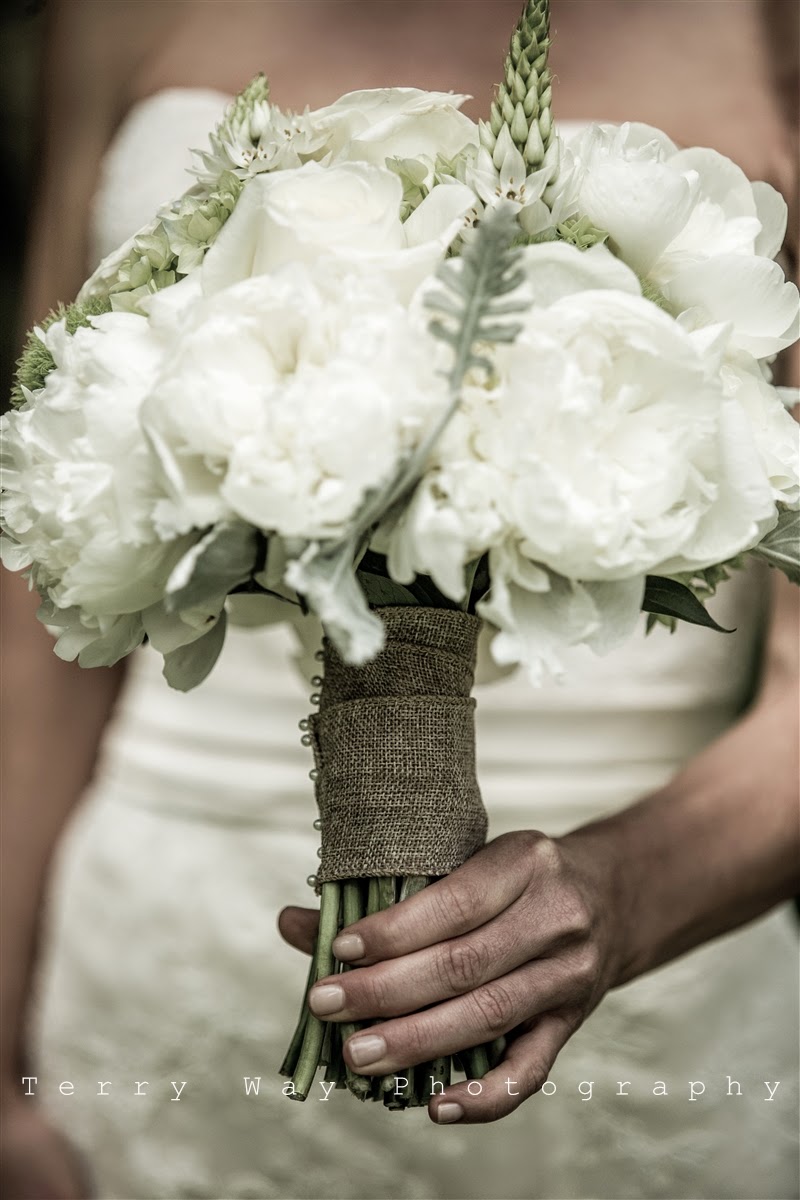 Terry Way Photography Santa Cruz Photographer: Rancho Soquel Wedding ...