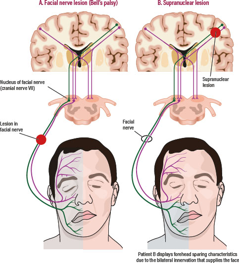 By The Stroke Of God's Hand