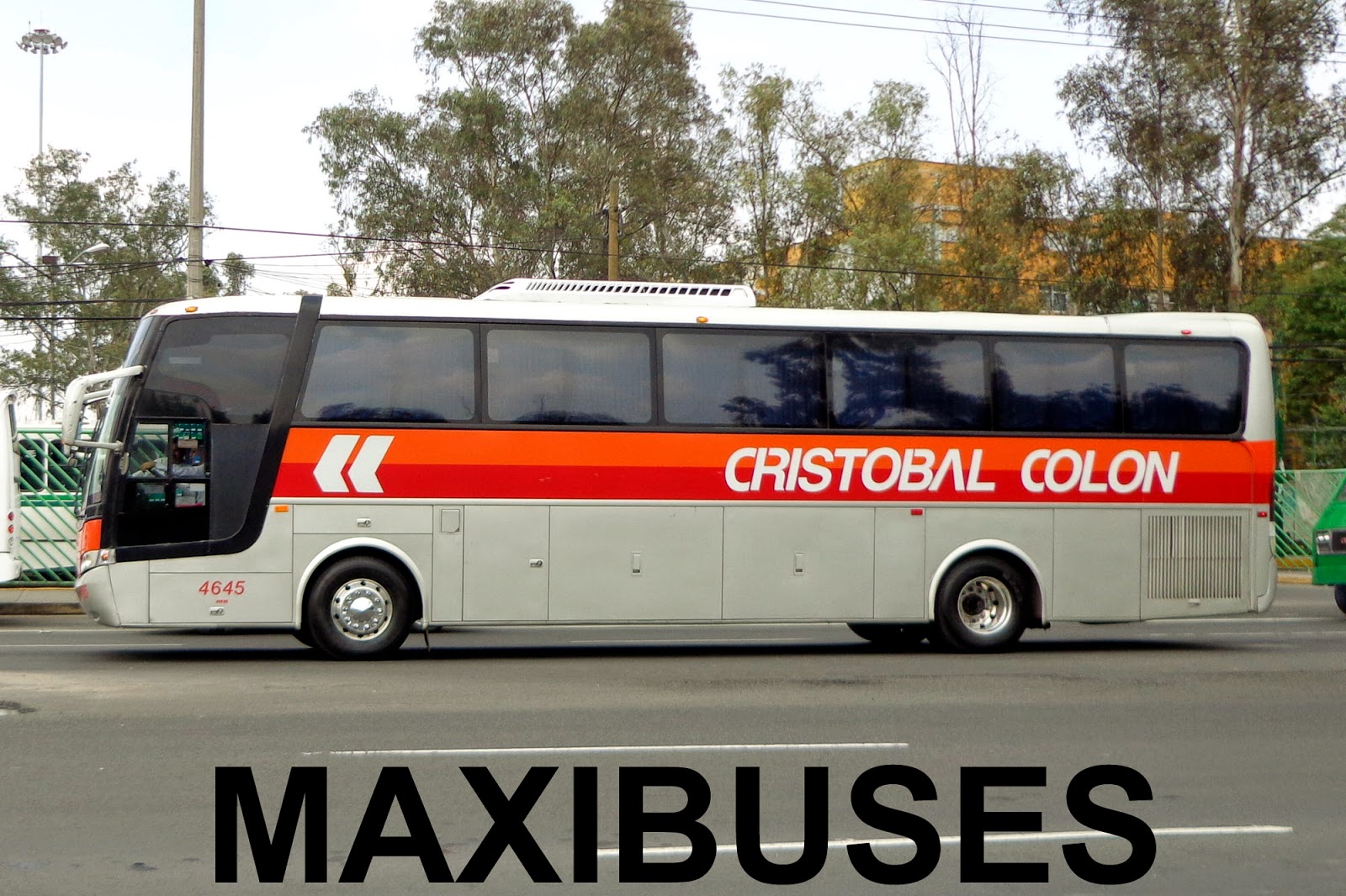 MAXIBUSES: CRISTOBAL COLÓN