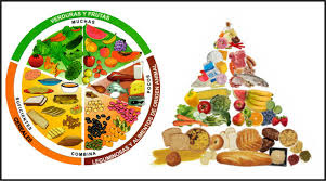 TIC Sele V.: La rueda alimentaria.