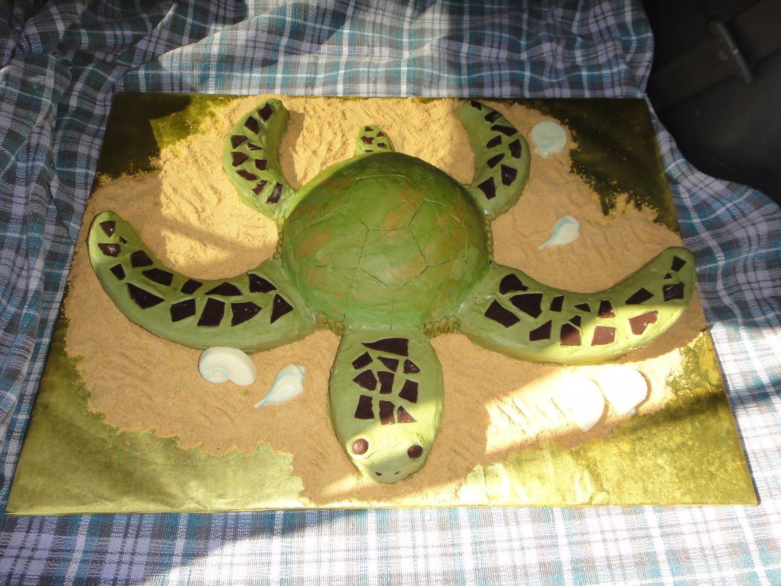 Kims Cakes and Crumbs: Sea Turtle Cake