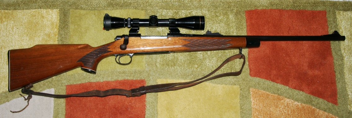 The Silicon Graybeard: Scout Rifles