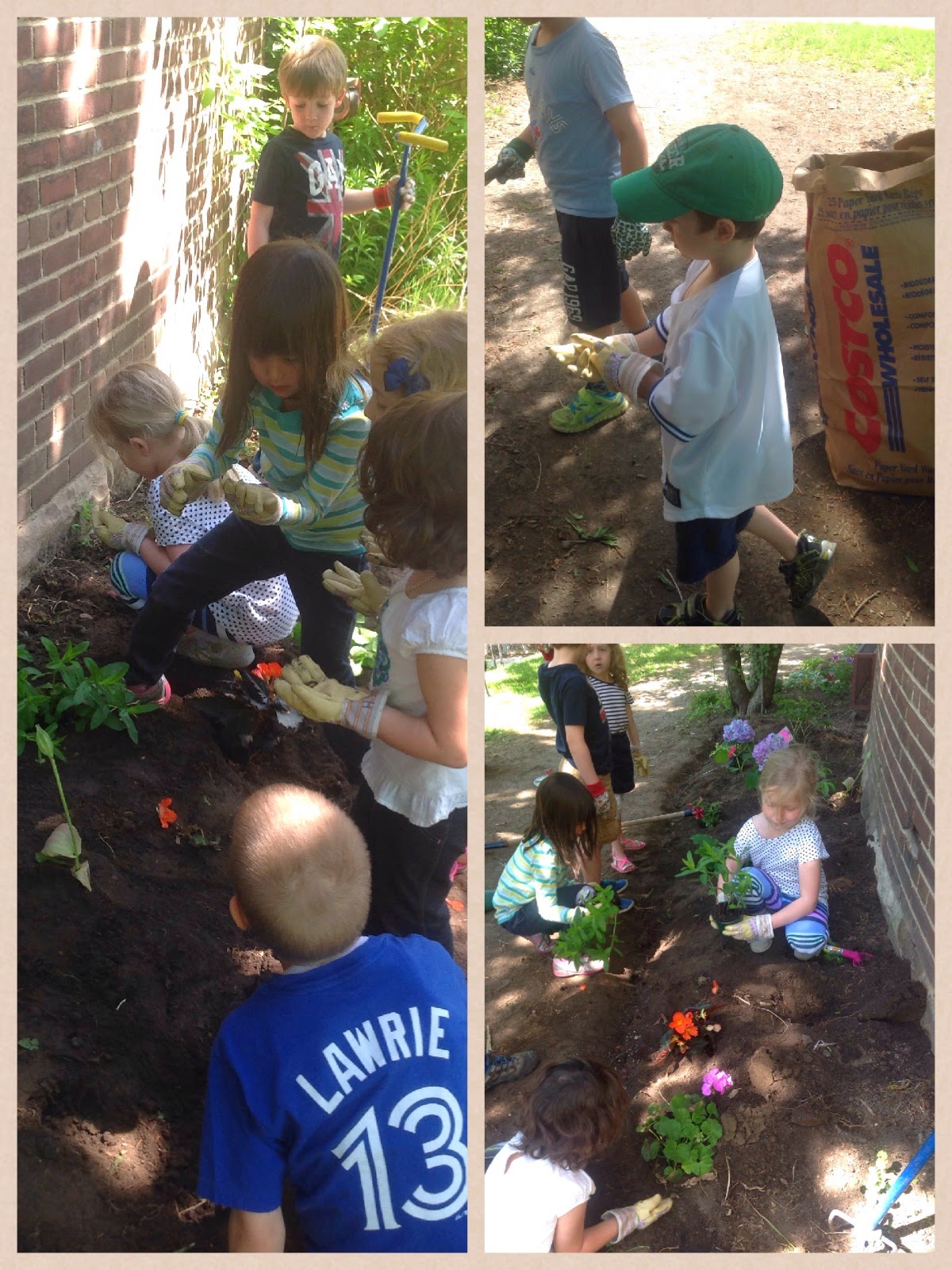 Wonders in Kindergarten: Creating our beautiful flower garden!