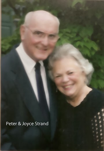 Quilts and Musings: Celebrating a Life: Joyce Strand