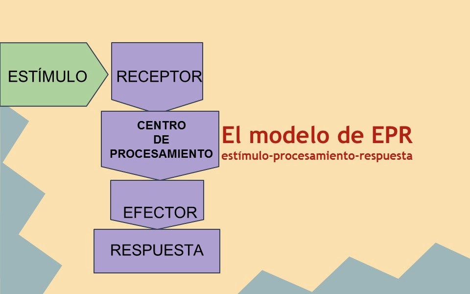 Biología en la secundaria: abril 2014