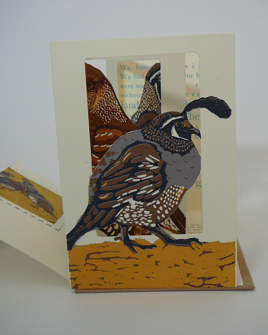 Birds of the Bible: Quail