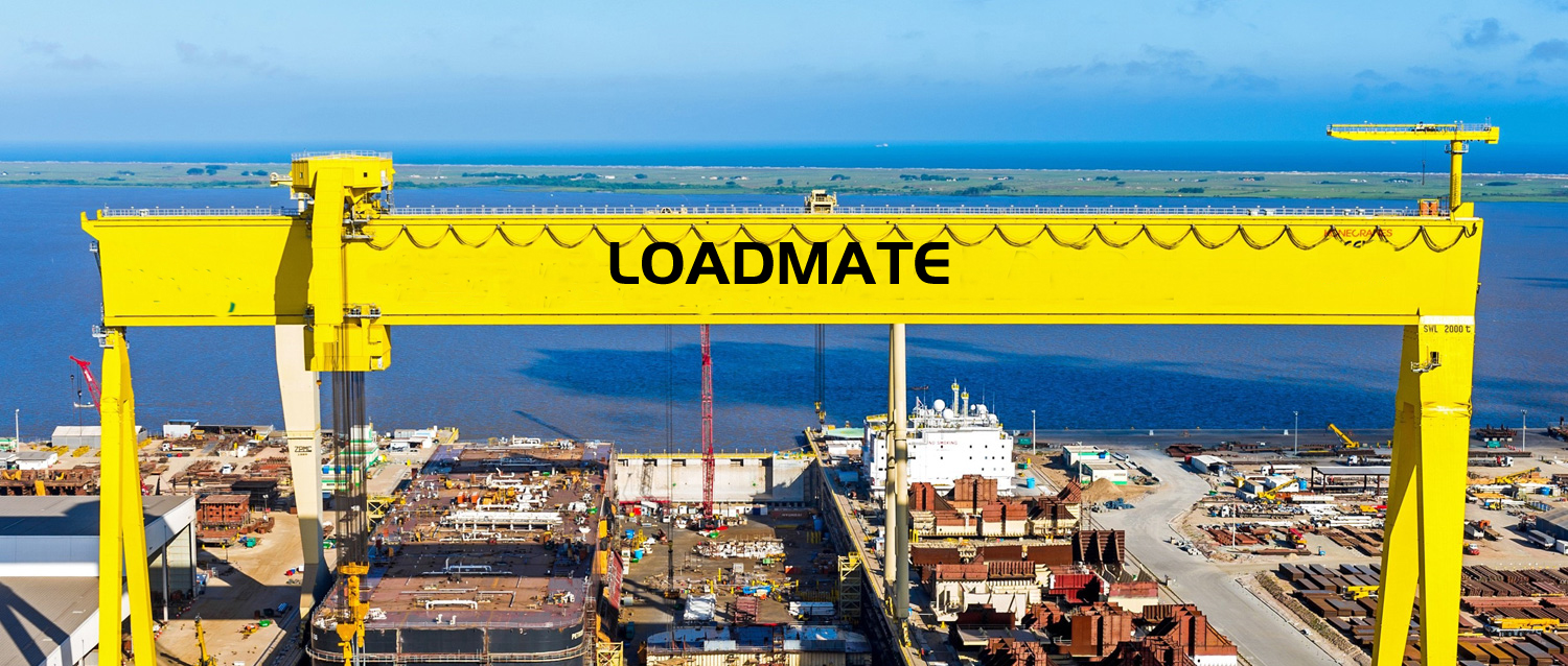 Electric chain hoist euro series companies | Loadmate Crane | Surat