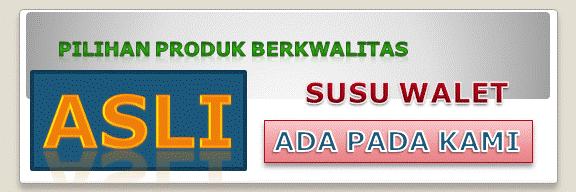 SUSU WALET SAMARINDA: Khasiat Obat Gemuk Herbal Susu Walet:
