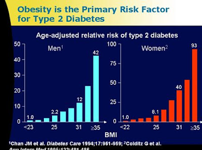 Obesity And Type 2 Diabetes-How To Overcome it - Diabetes Suport