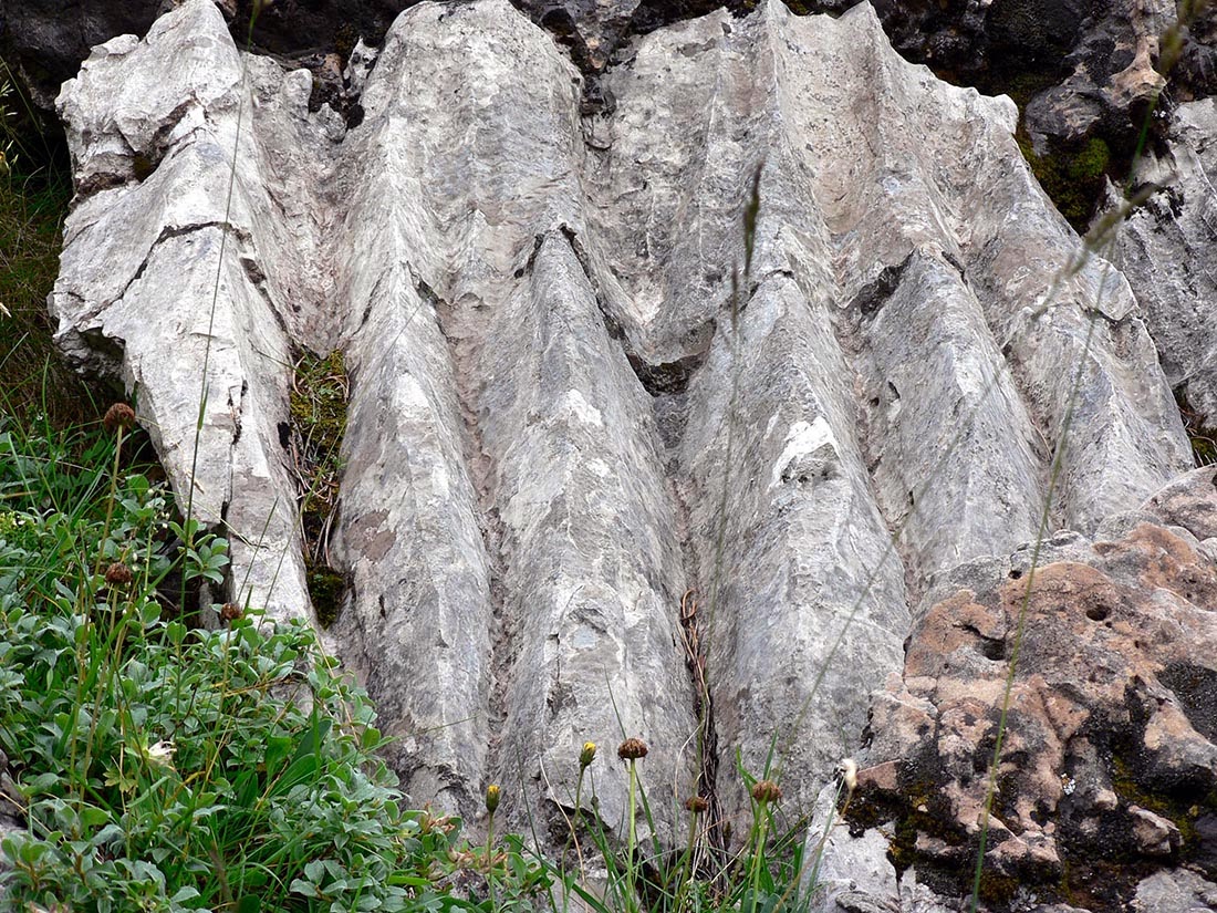 CURIOSIDADES CIENTÍFICAS : Lenares o Lapiaces