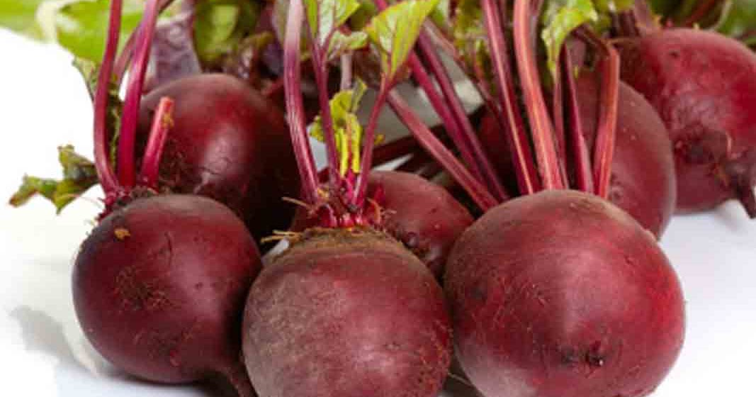 Amazing Benefits of Beet For Health and Beauty ~ itismylifetoo