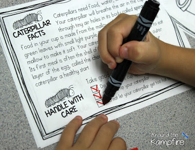 Butterfly Math and Science Activities - Around the Kampfire