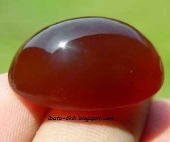 Batu Red Raflesia (Cempaka Merah) Bengkulu