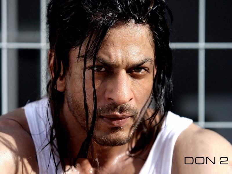 Shah Rukh Khan Best Movie DON 2 Wallpapers - Funny, Islamic, Bollywood ...