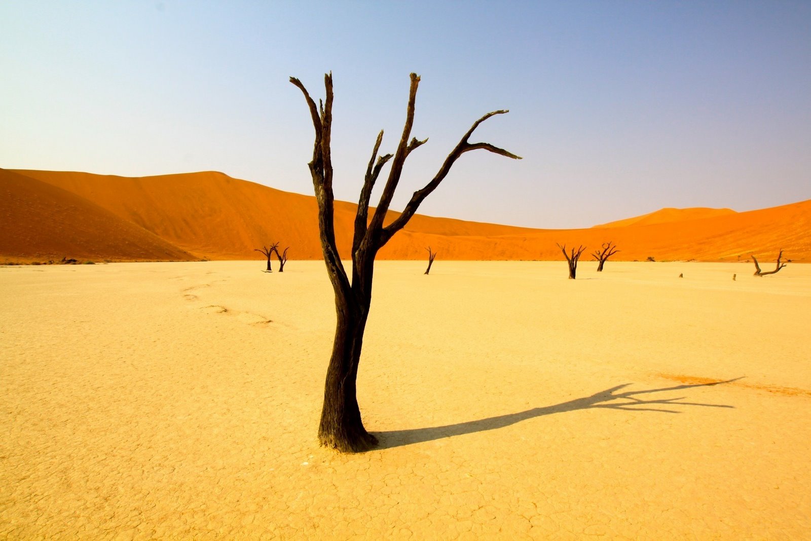 est100 一些攝影(some photos): Namibia 納米比亞