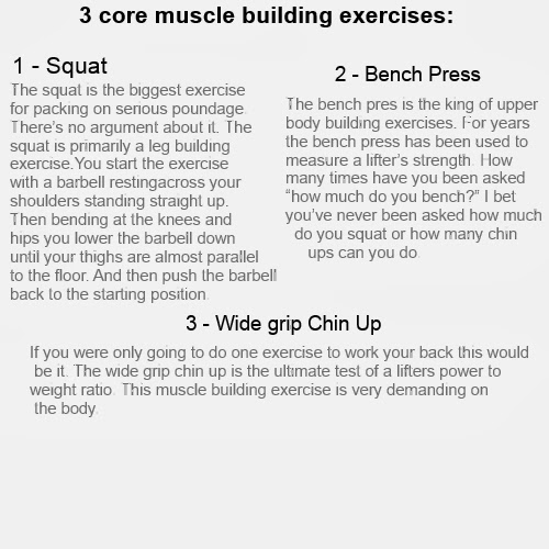 better off: big muscle bear , Here are the best ways discovered