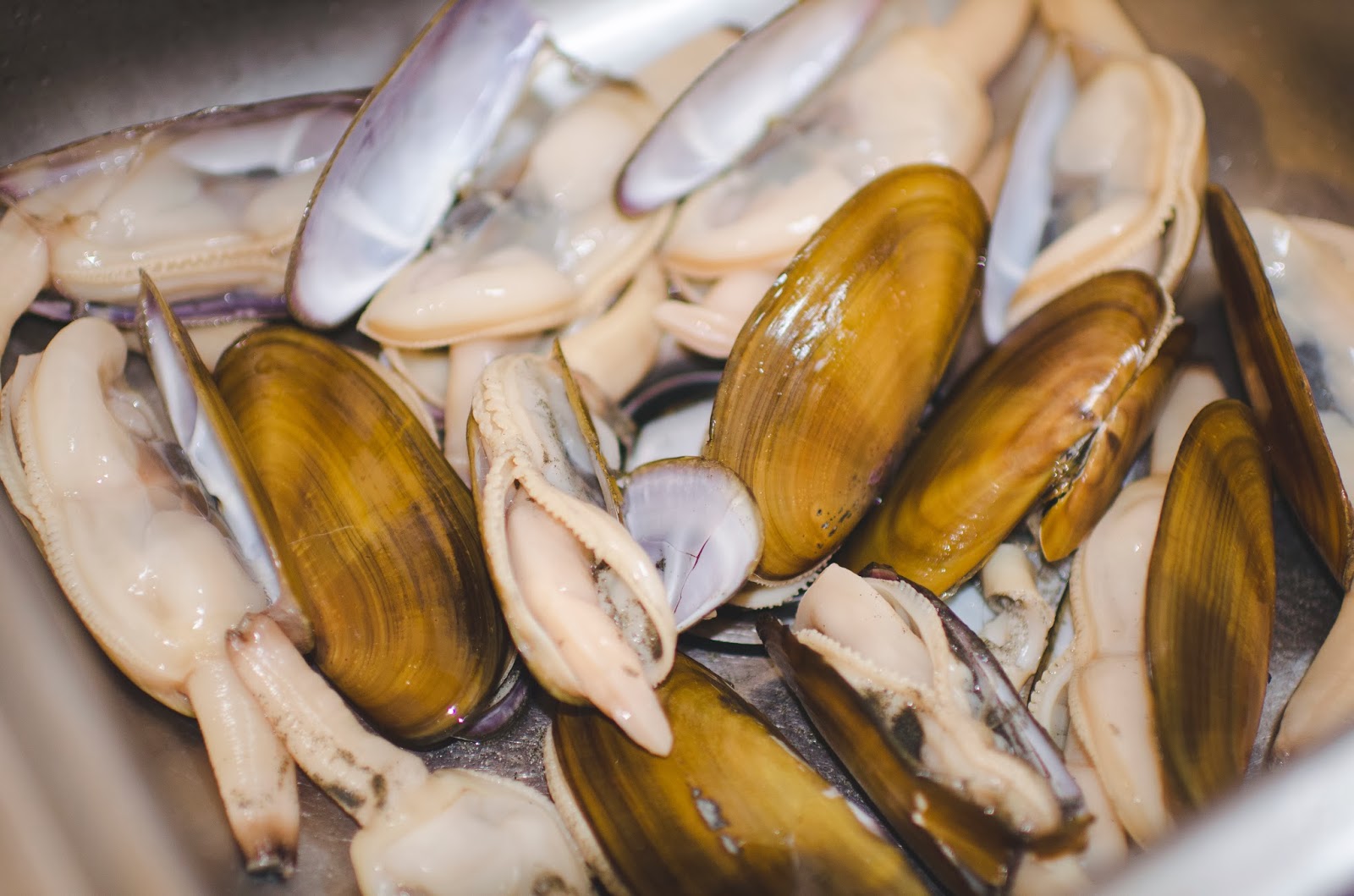 Spartan Fishing & Outdoors: Tutorial: Cleaning and preparing Razor Clams