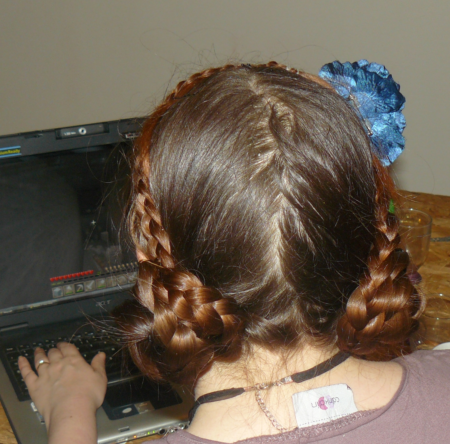 1001 coiffures: Macarons et courronne de tresses