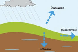 le blog-notes de Joël Carreiras: Macron Saint Simon