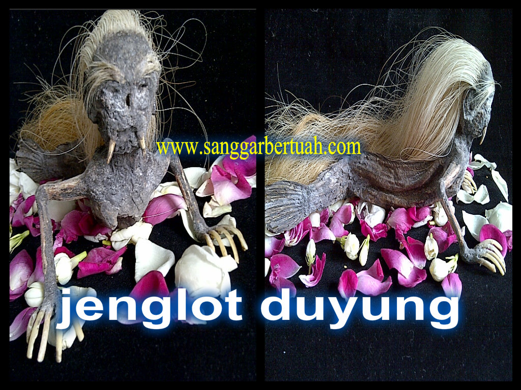 JENGLOT ULAR, JENGLOT DUYUNG, JENGLOT BHATARA KARANG ~ Jimat Azimat ...
