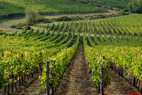 Locanda Tinti: Luoghi