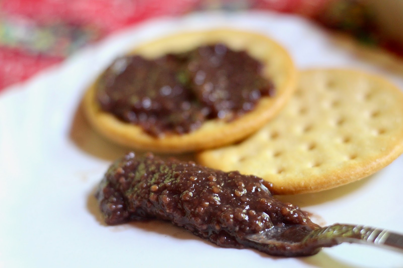 Homemade Strawberry Balsamic Mustard – Diary of a Mad Hausfrau