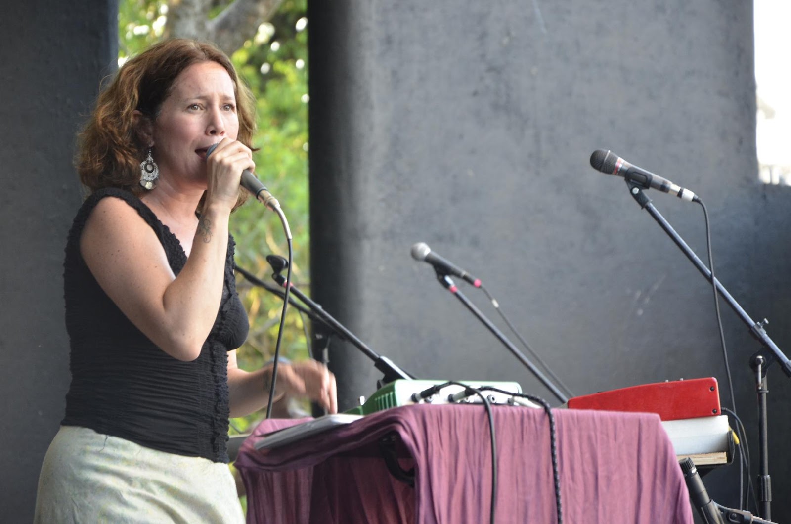 ¡Arranco el Tamoanchan 2013! - La Wacha