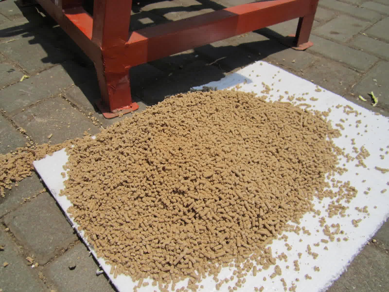 Jenis Pakan Ikan Lele dan Cara Pemberian Yang Benar Untuk Meningkatkan ...