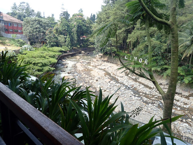 Cimory Riverside Puncak Bogor, Nikmatnya Makan di Pinggir Sungai ...