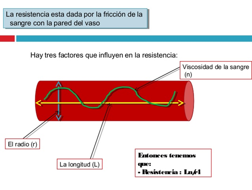 BIOFÍSICA: Viscosidad sanguínea y perfiles de flujo