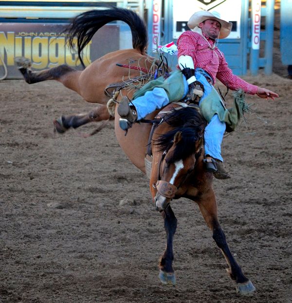 Random Images from a Nightowl: June 2011