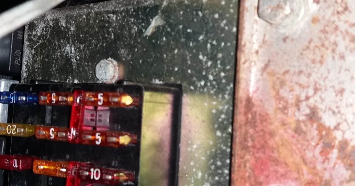 Lotus Excel Restoration: Installing a fan monitor light and otter ...