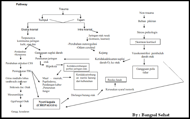 Laporan Pendahuluan / LP Chefalgia Lengkap, download dalam bentuk Ms ...