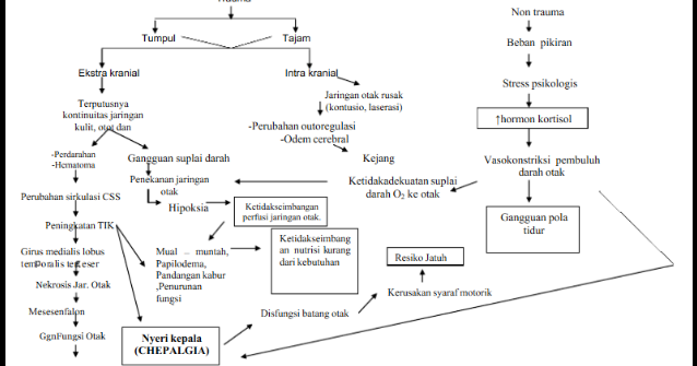 Laporan Pendahuluan / LP Chefalgia Lengkap, download dalam bentuk Ms ...