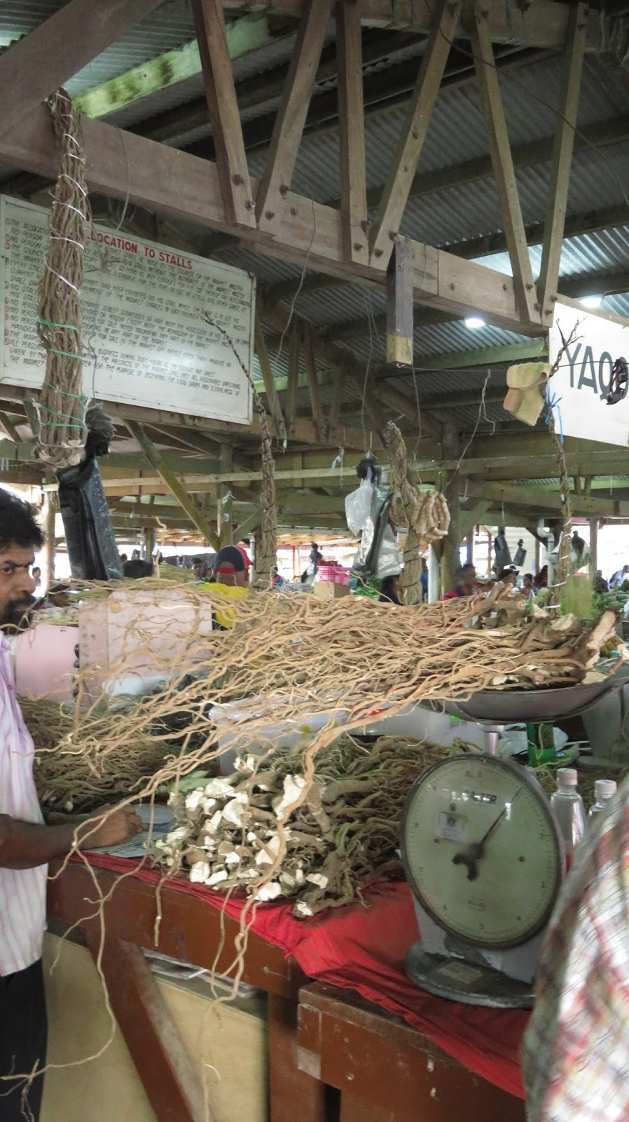 A Human Geographer in Fiji: Grog - groggy - Kava - Yaqona - Piper ...
