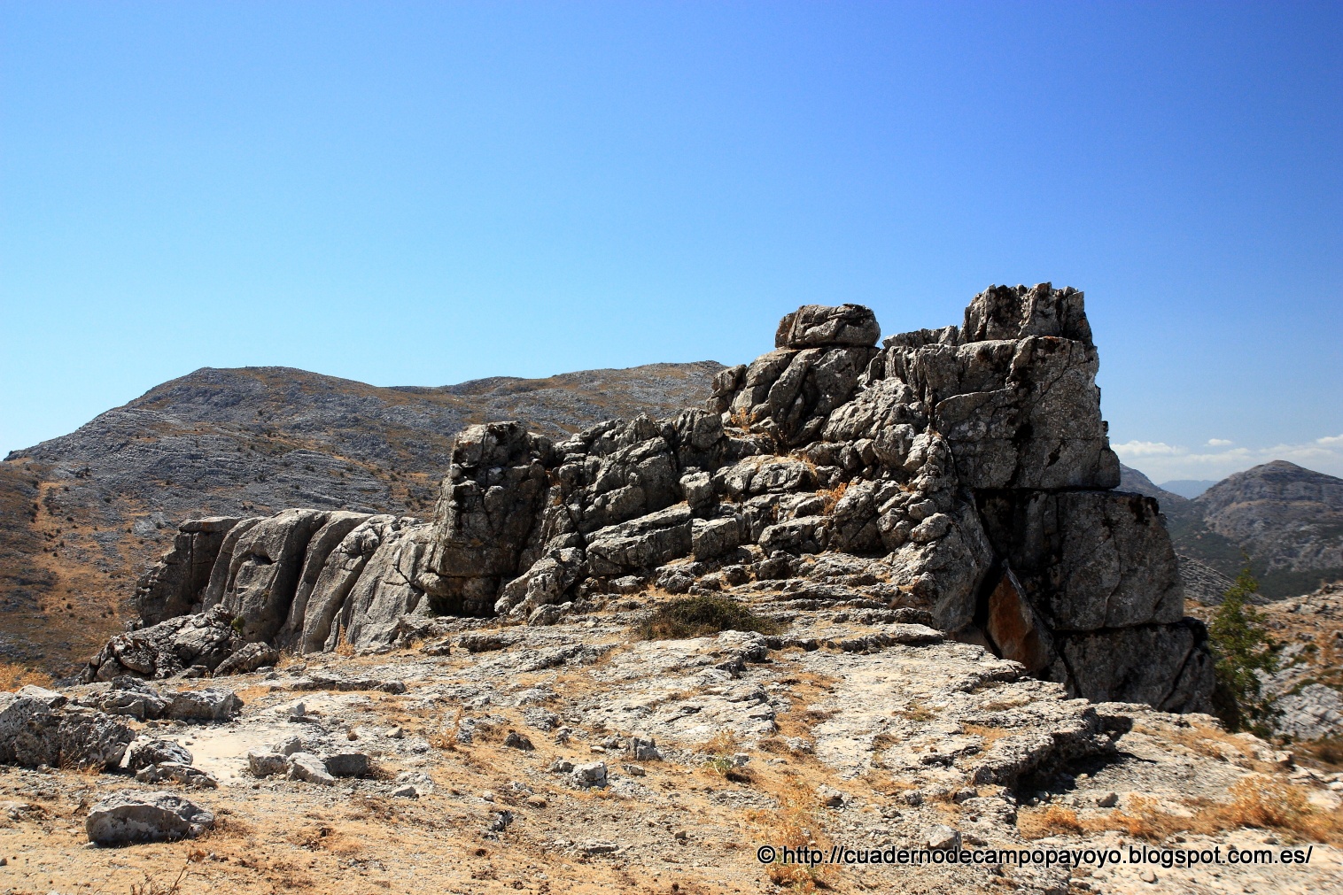 Cuaderno de Campo Payoyo: Las caras del Tunio (Benaoján)