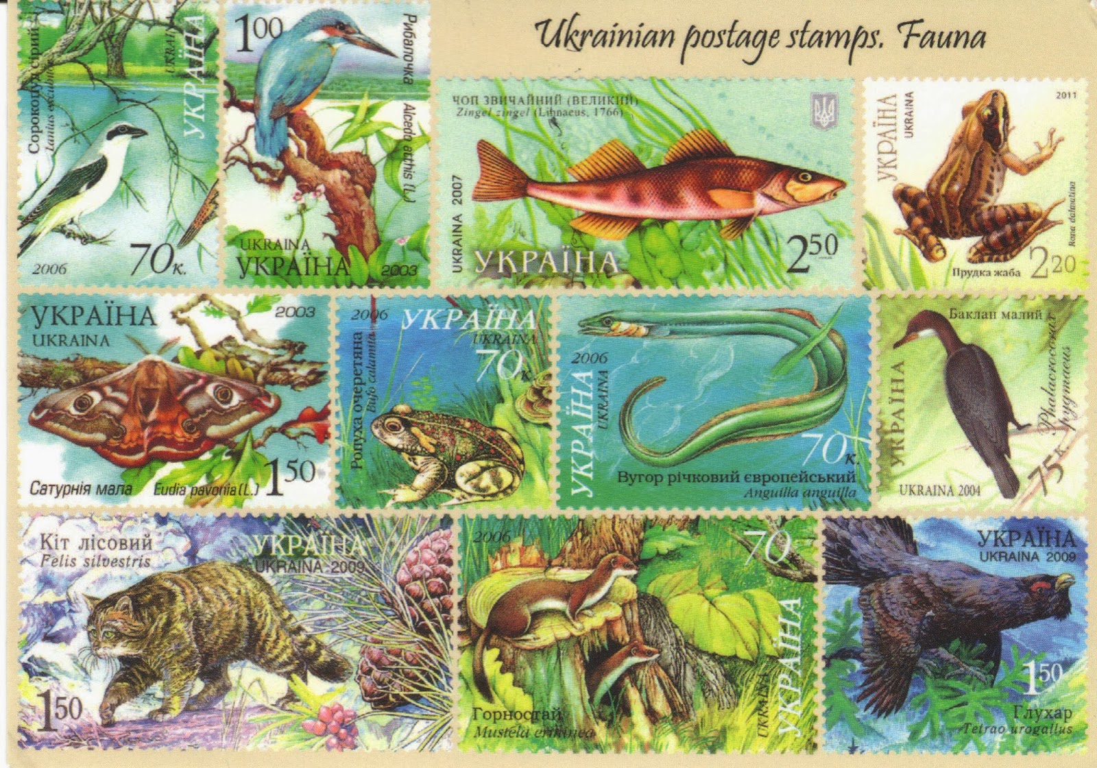 My Postcards: Ukraine - Fauna's stamps