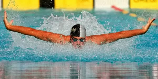 El Mundo de Rachell: ¡Estilo Mariposa!