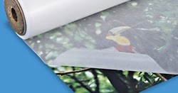 Flexototal: O que é o papel glassine usado na fabricação de liner