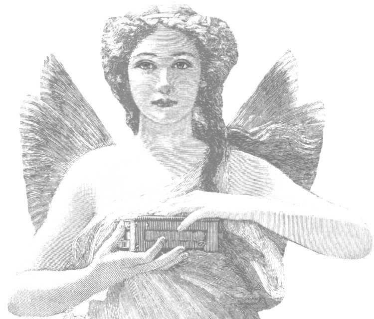 Handbook for Incarnated Angels: The True Purpose of Incarnated Angels