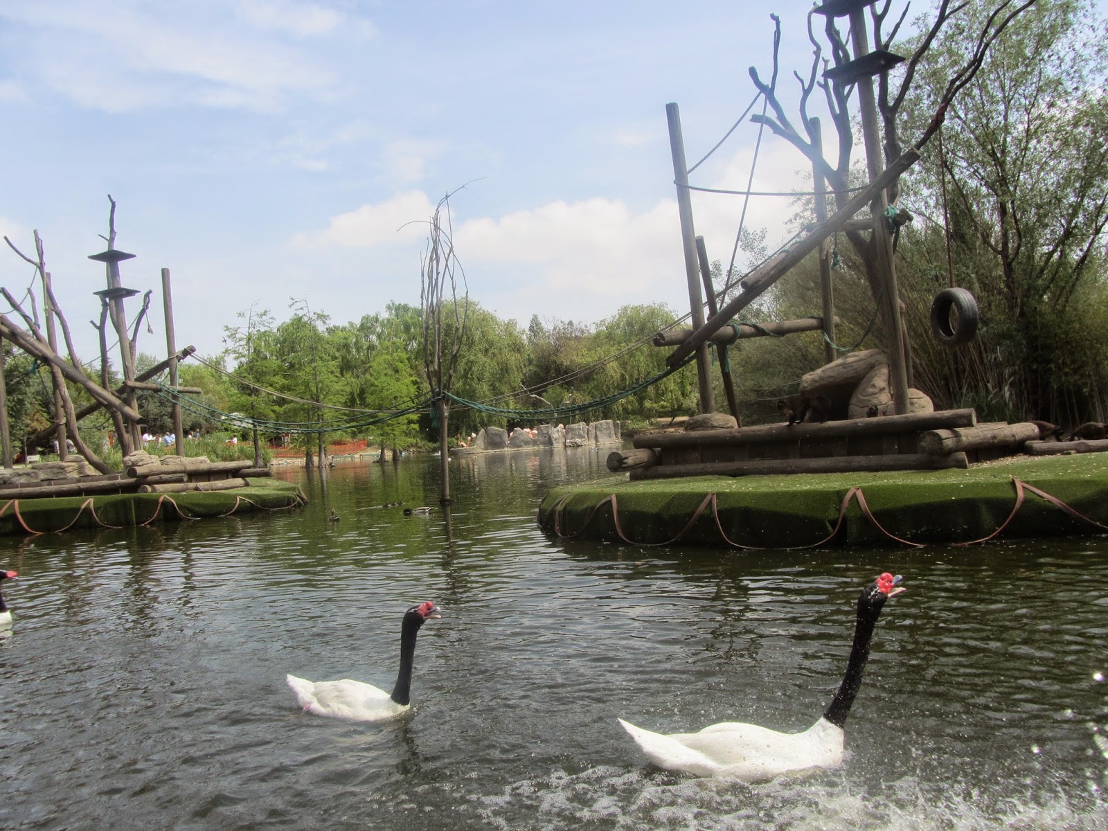 Universo Viajero: Faunia, El Parque Temático de la Naturaleza