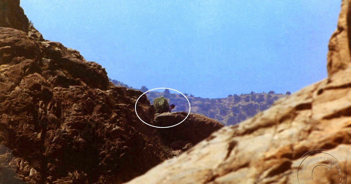 Indéfectible détermination