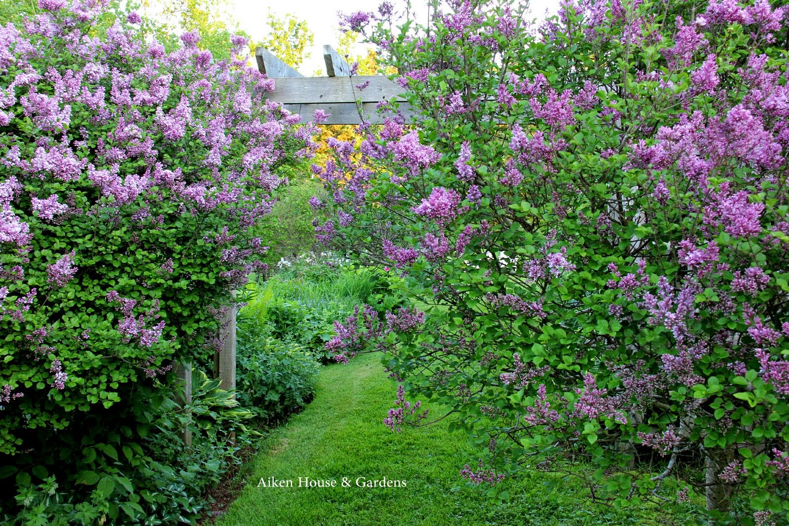 Aiken House & Gardens: Welcome Summer!