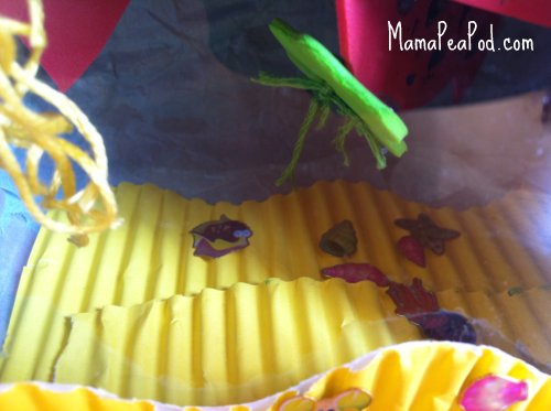 Mama Pea Pod: {Cardboard Box Aquarium}