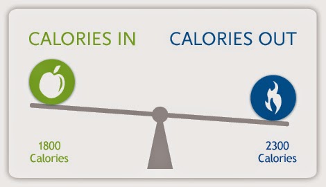 Cardio Trek - Toronto Personal Trainer: Tracking your Calorie Loss