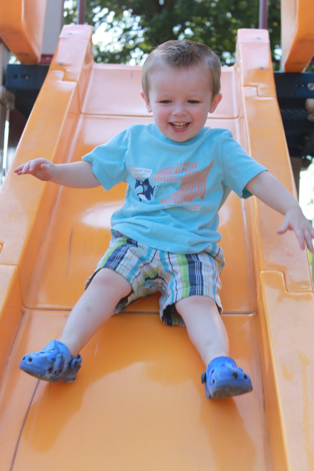 The Herb Family: Fun with Tanner Week