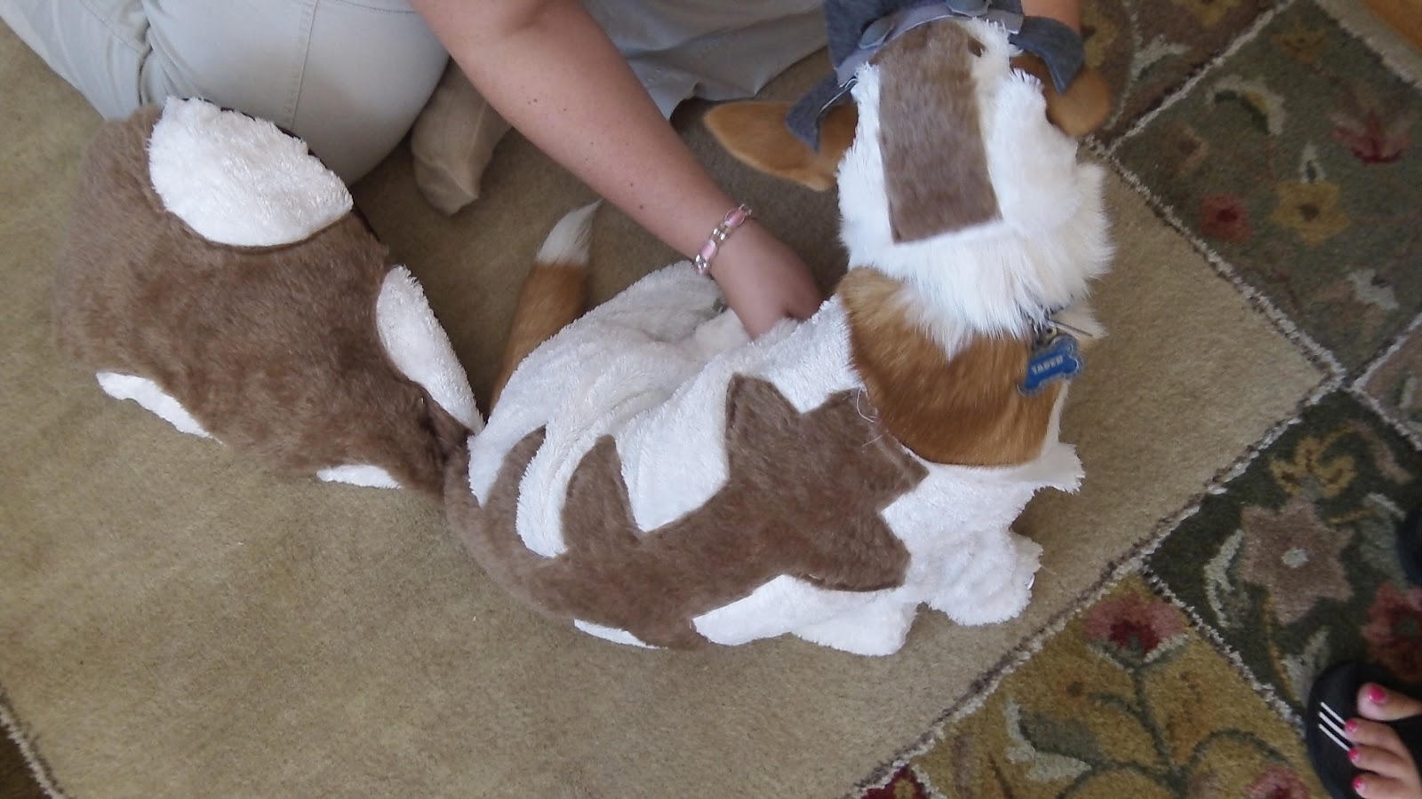 My Dog Is Fun Sized: Appa costume done