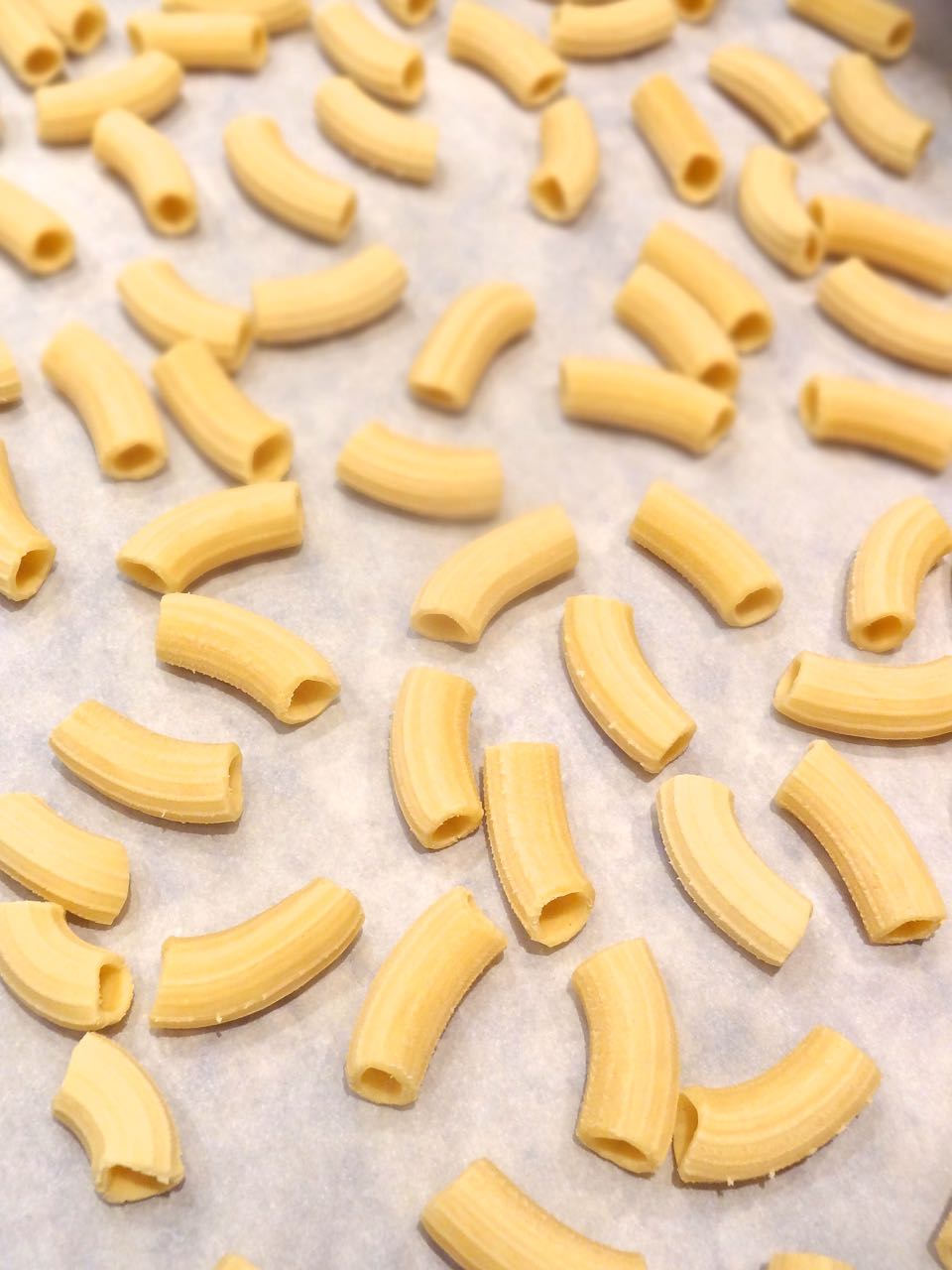 Scrumpdillyicious: Homemade Rigatoni with Bolognese Ragu