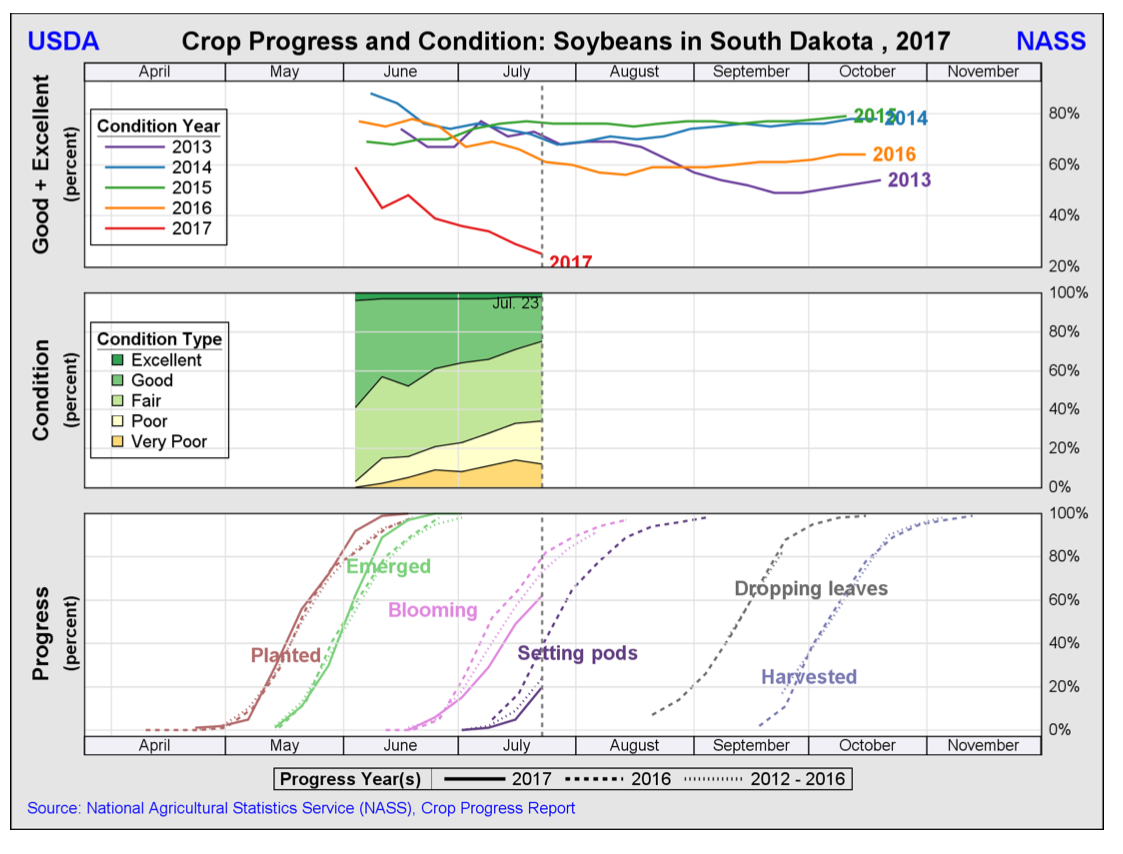 Jul 24 |USDA Crop Progress Graphics